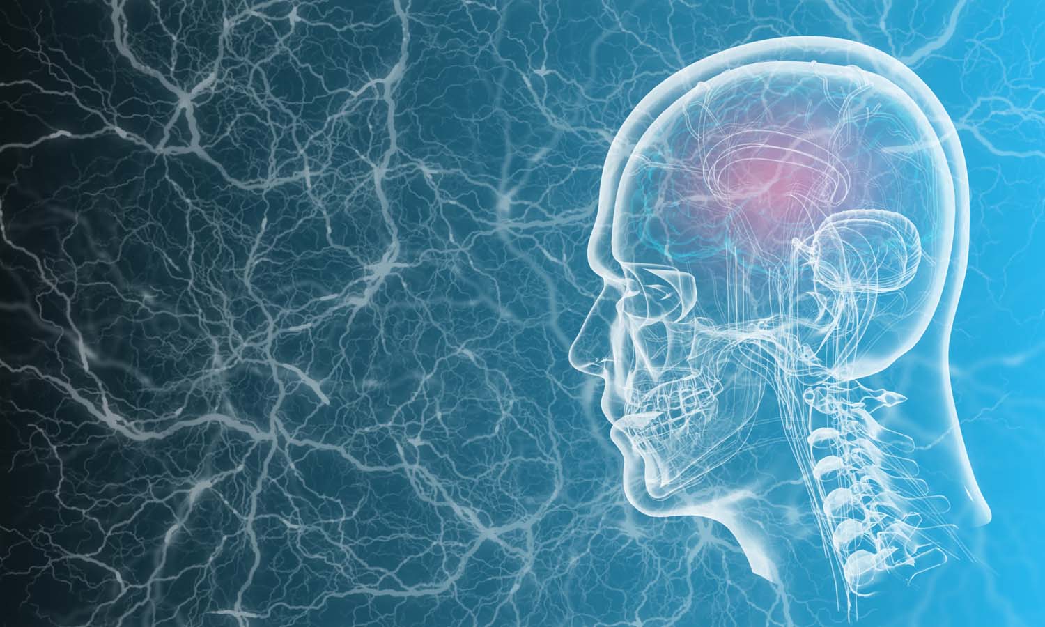 Nerve Pain Treatment | Susquehanna Spine & Rehab Nerve Pain Treatment | Susquehanna Spine & Rehab